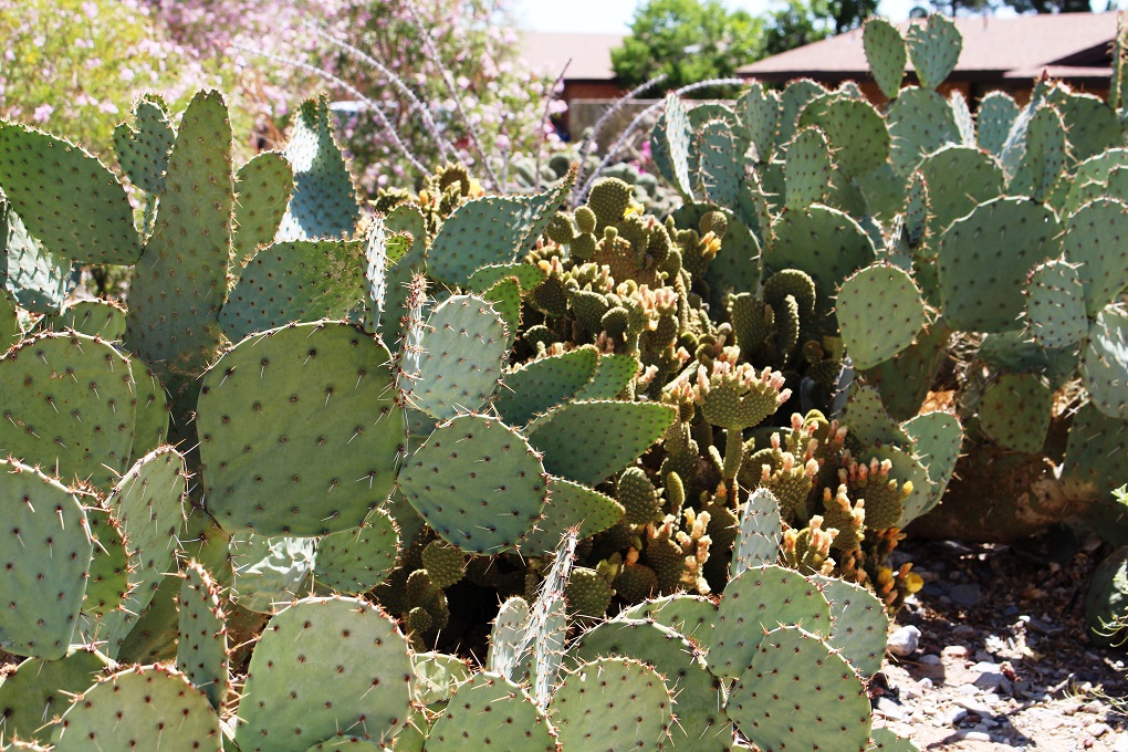Outdoors – Lee & Beulah Moor Children’s Home